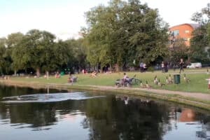 Clapham Common Pond, London | Fishery Guide