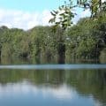 Cherry Lakes, Cirencester | Fishery Guide
